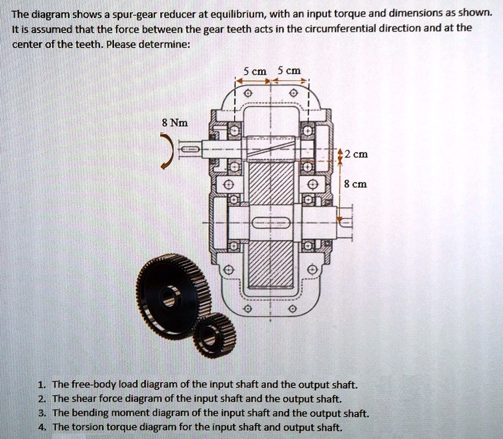 The diagram shows a spur-gear reducer at equilibrium, with an input ...