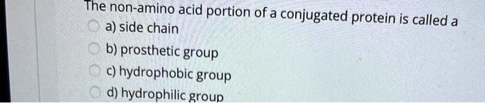 SOLVED: The non-amino acid portion of a conjugated a) side chain ...