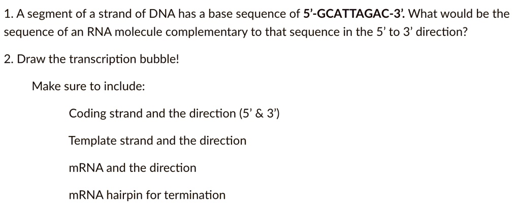 SOLVED: 1. A segment of a strand of DNA has a base sequence of 5'-GCATTAGAC-3'. What would be ...