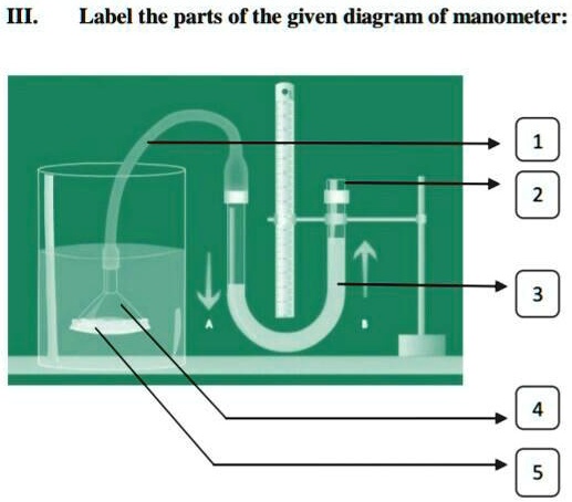 SOLVED: "don't spam give correct answer MI: Label the parts of the ...