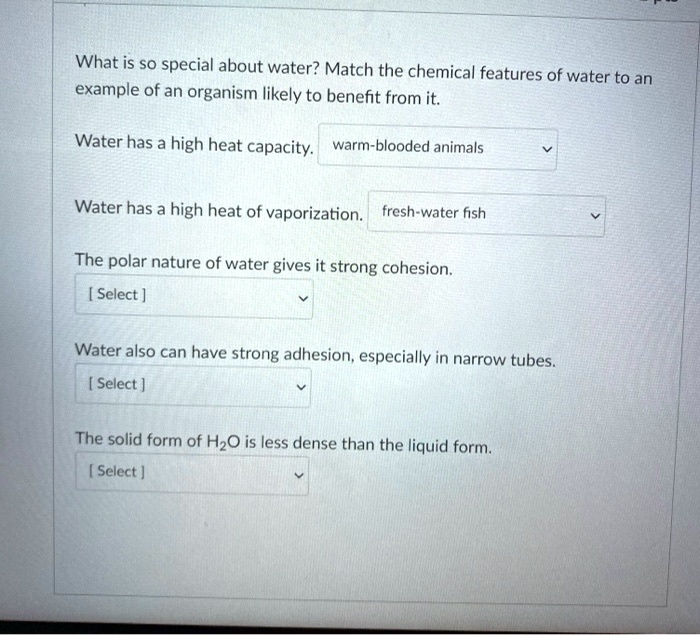 SOLVED:What is so special about water? Match the chemical features of ...