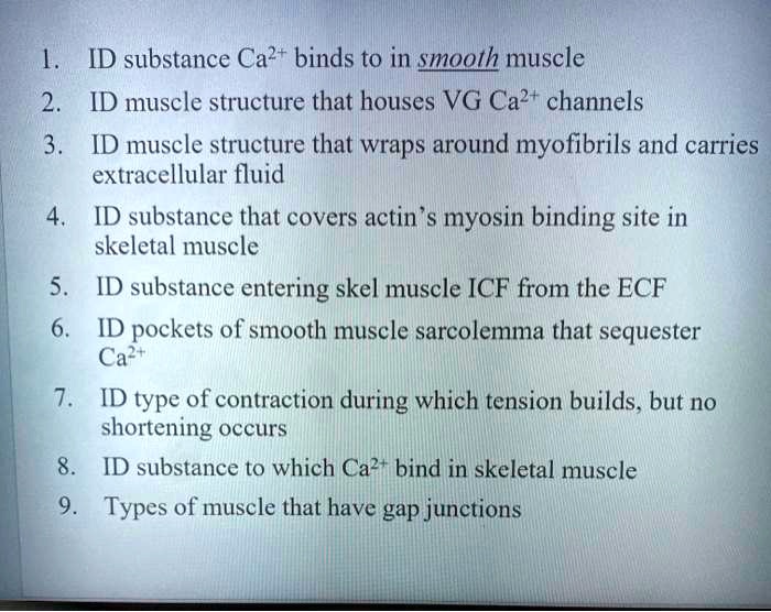 SOLVED:ID substance Cal+ binds to in smooth muscle 2 ID muscle ...