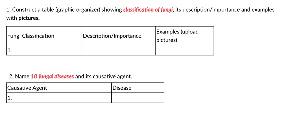 1construct a table graphic organizer showing classification of fungiits ...