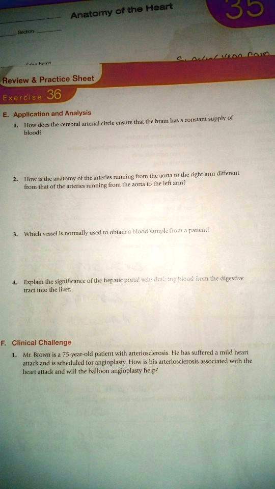 anatomy of the heart review practice sheet exercise 36 eapplication and ...