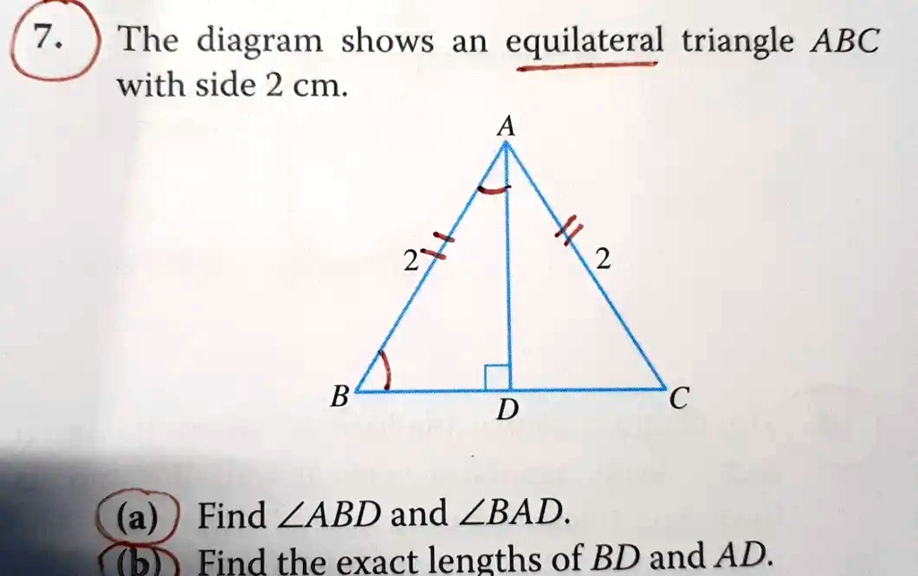 7. The diagram shows an equilateral triangle ABC with side 2 cm. A 2 2 B C D (a) Find ∠ ABD and ...