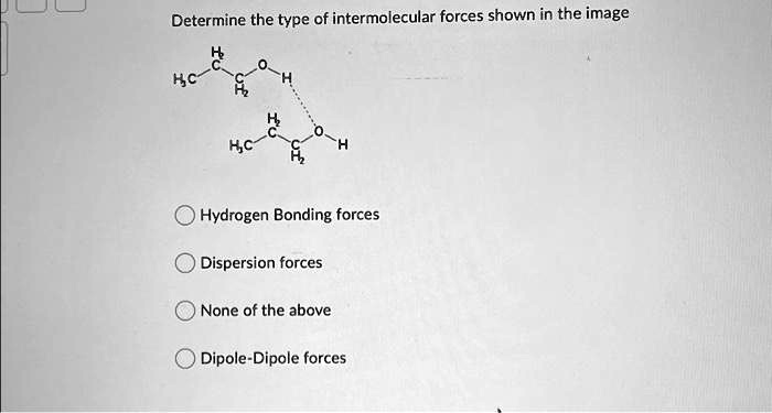 SOLVED: Determine the type of intermolecular forces shown in the image ...