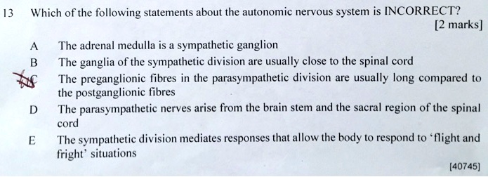 13 Which of the following statements about the autonomic nervous system ...