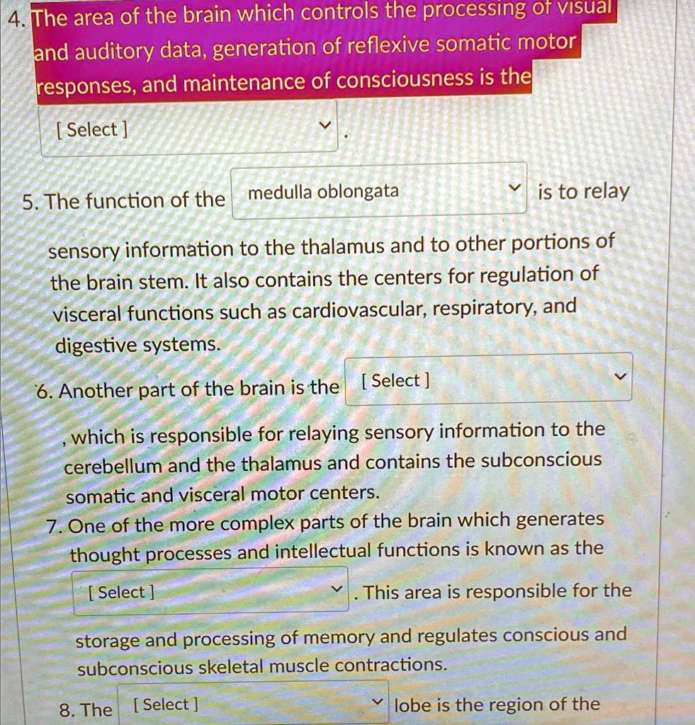 4. The area of the brain which controls the processing of visual and auditory data, generation ...