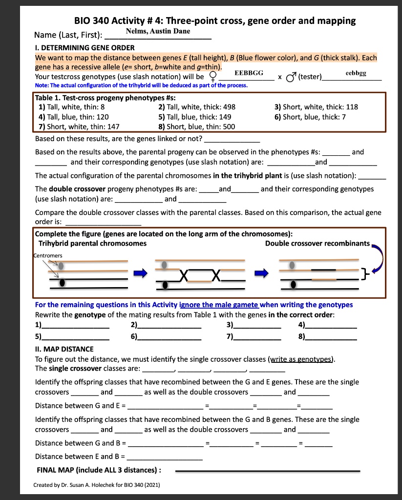 SOLVED:BIO 340 Activity # 4: Three-point cross, gene order and mapping ...