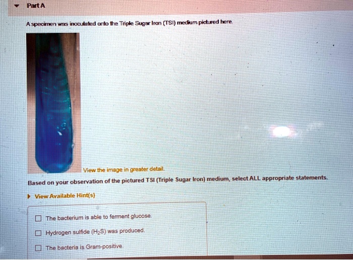 SOLVED: Aspecimen was inoculated in the Triple Sugar Iron (TSI) medium ...
