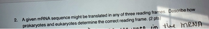 [GET ANSWER] reading frames describe how a given mrna sequence might be ...