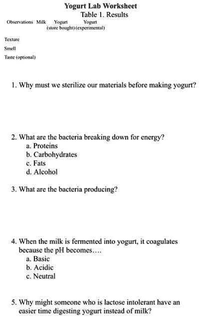 yogurt lab worksheet table results lixcnuion milk tusun wun slote ...