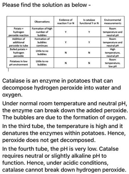 SOLVED: In experiment #1, how did changing the pH affect enzyme ...