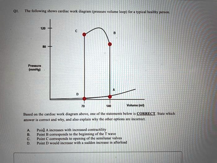 SOLVED: Can you please explain why each option is incorrect and why the correct one is correct ...