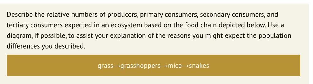 SOLVED: Describe the relative numbers of producers, primary consumers ...