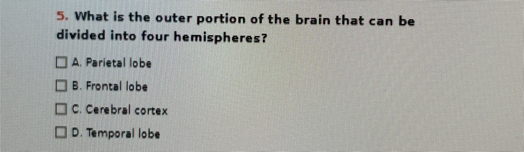 5. What is the outer portion of the brain that can be divided into four ...