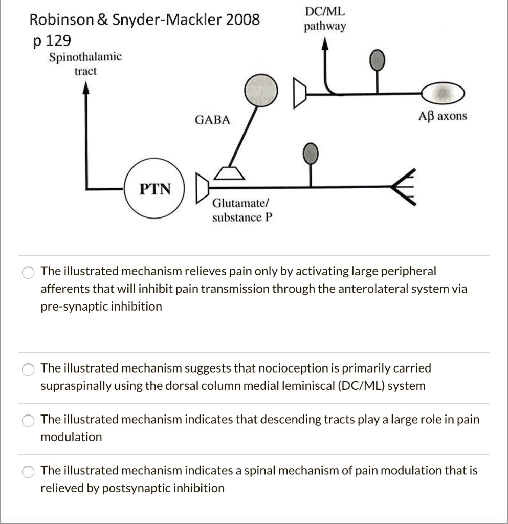 DCIML pathway Robinson Snyder-Mackler 2008 p. 129 Spinothalamic tract ...