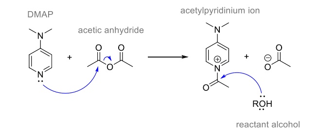 SOLVED:DMAP acetylpyridinium ion acetic anhydride ROH reactant alcohol