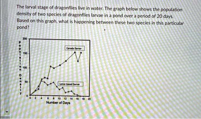 The larval stage of dragonflies live in water. The graph below shows ...