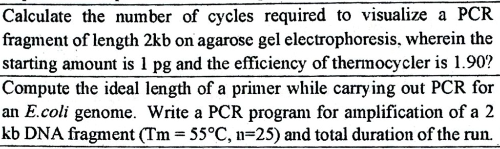 calculate the number of cycles required to visualize a pcr fragment of ...