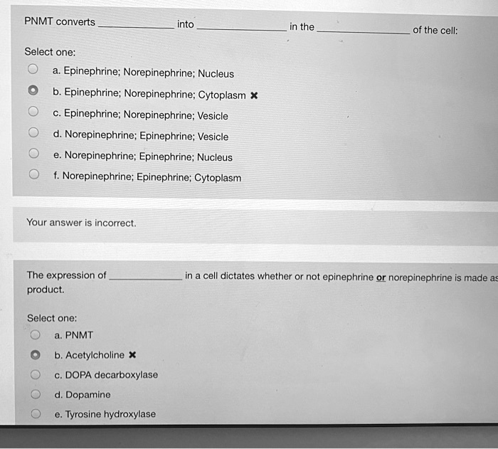 pnmt converts into in the of the cell select one epinephrine ...
