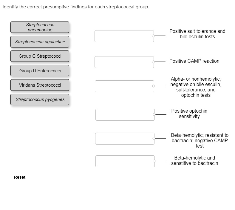 SOLVED: Identify the correct presumptive findings for each ...