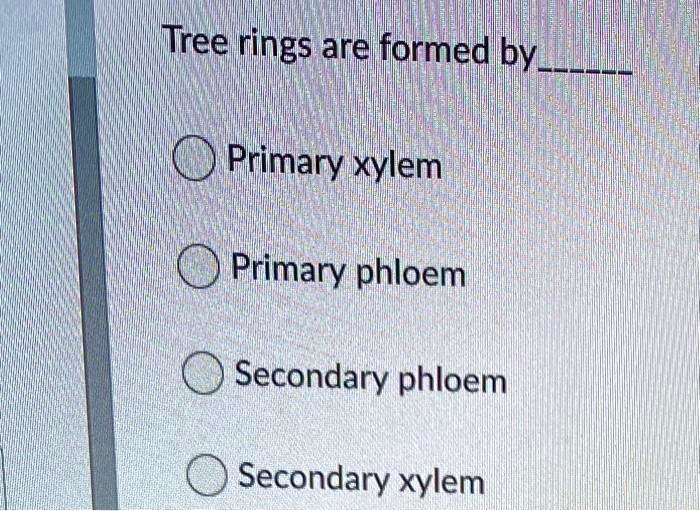 SOLVED: Tree rings are formed by Primary xylem Primary phloem Secondary ...