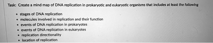 SOLVED: Task: Create mind map of DNA replication in prokaryotic and ...