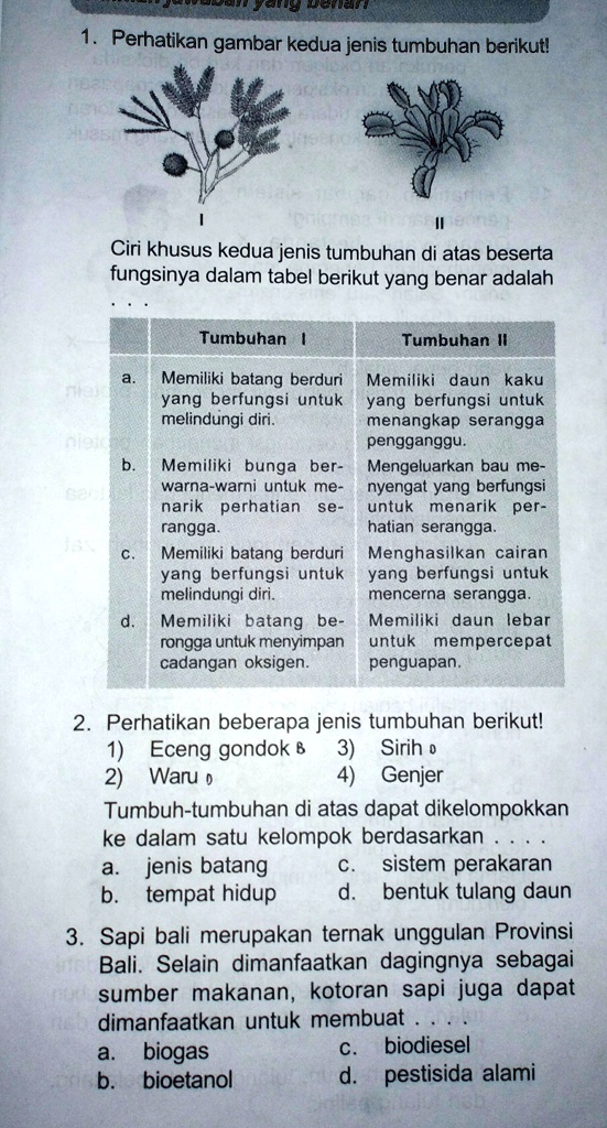SOLVED: tolong jawab nomor 1,2,3 Eda Perhatikan gambar kedua jenis ...