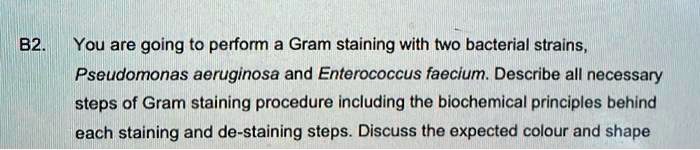 SOLVED: You are going to perform a Gram staining with two bacterial ...