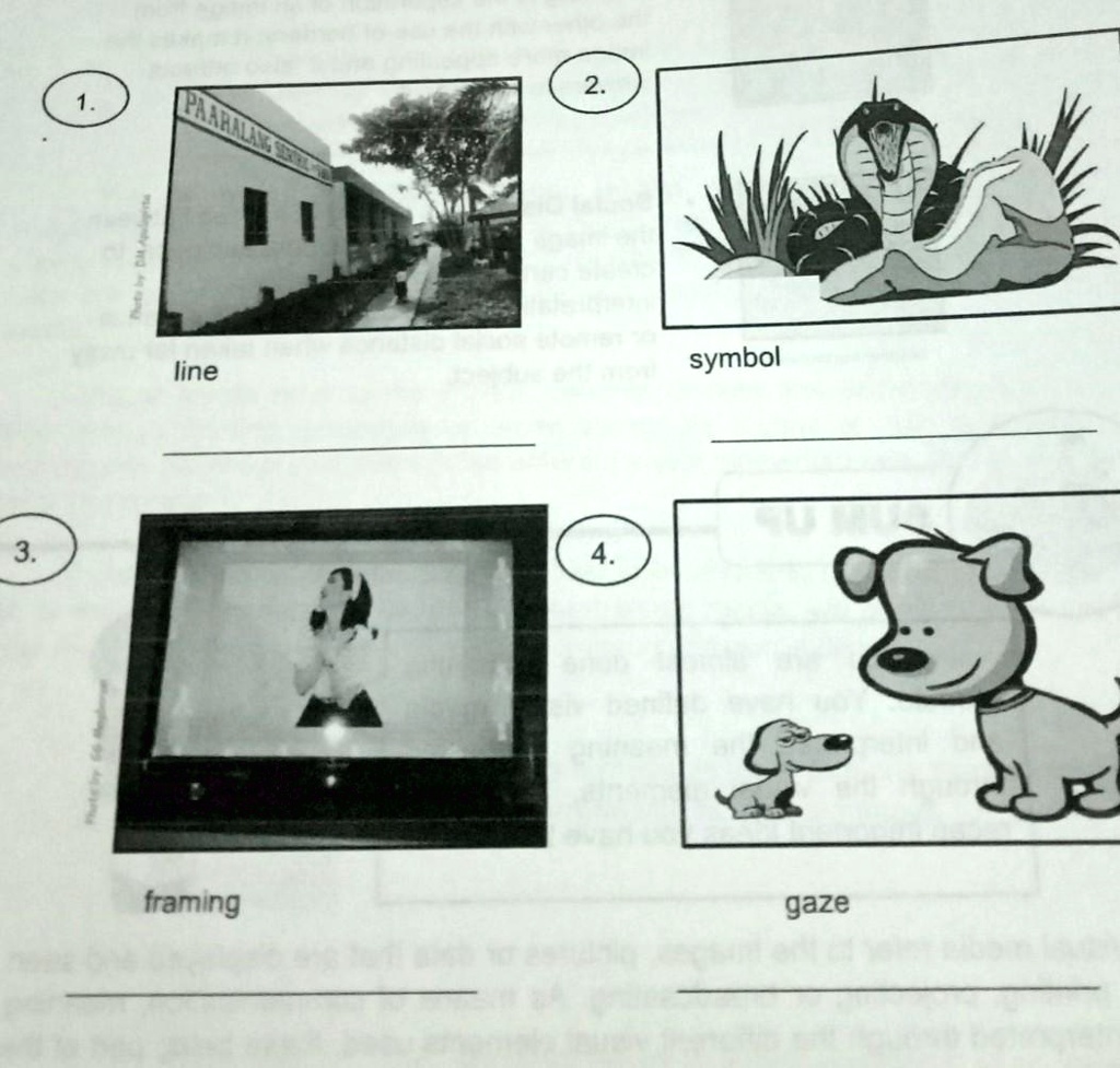 activity 4 caption it directions study and interpret the following ...