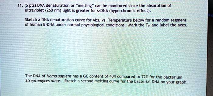 SOLVED: DNA denaturation or "melting" can be monitored since the ...