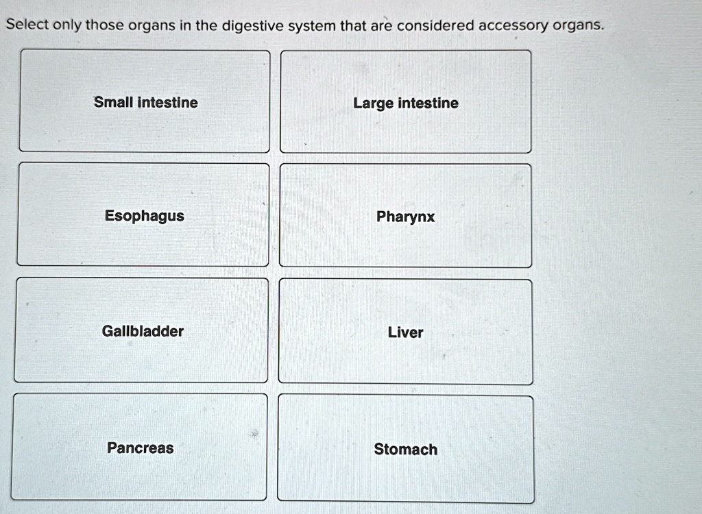 Select only those organs in the digestive system that are considered ...