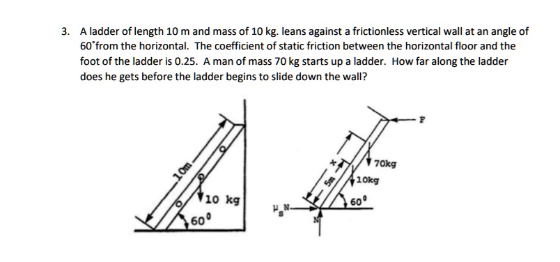 a ladder of length 10 m and mass of 10 kg leans against frictionless ...