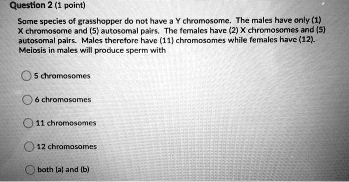 Solved Question 2 1 Point Some Species Of Grasshopper Do Not Have A