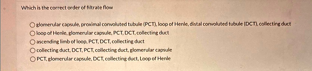 Which is the correct order of filtrate flow glomerular capsule ...