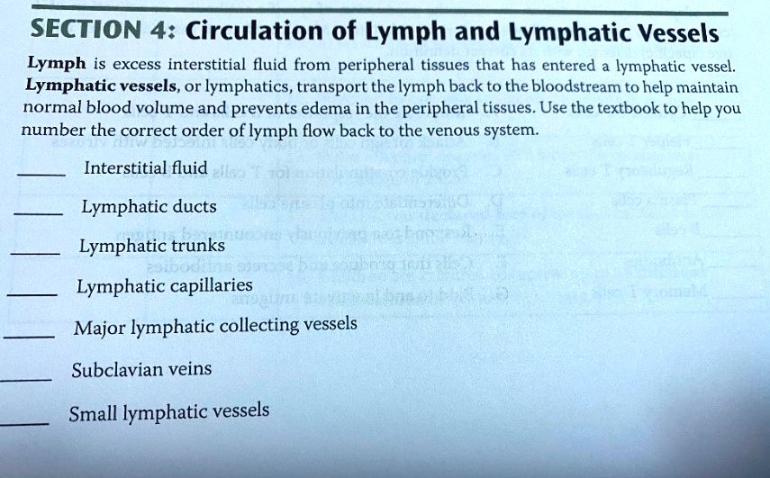 section 4 circulation of lymph and lymphatic vessels lymph is excess ...