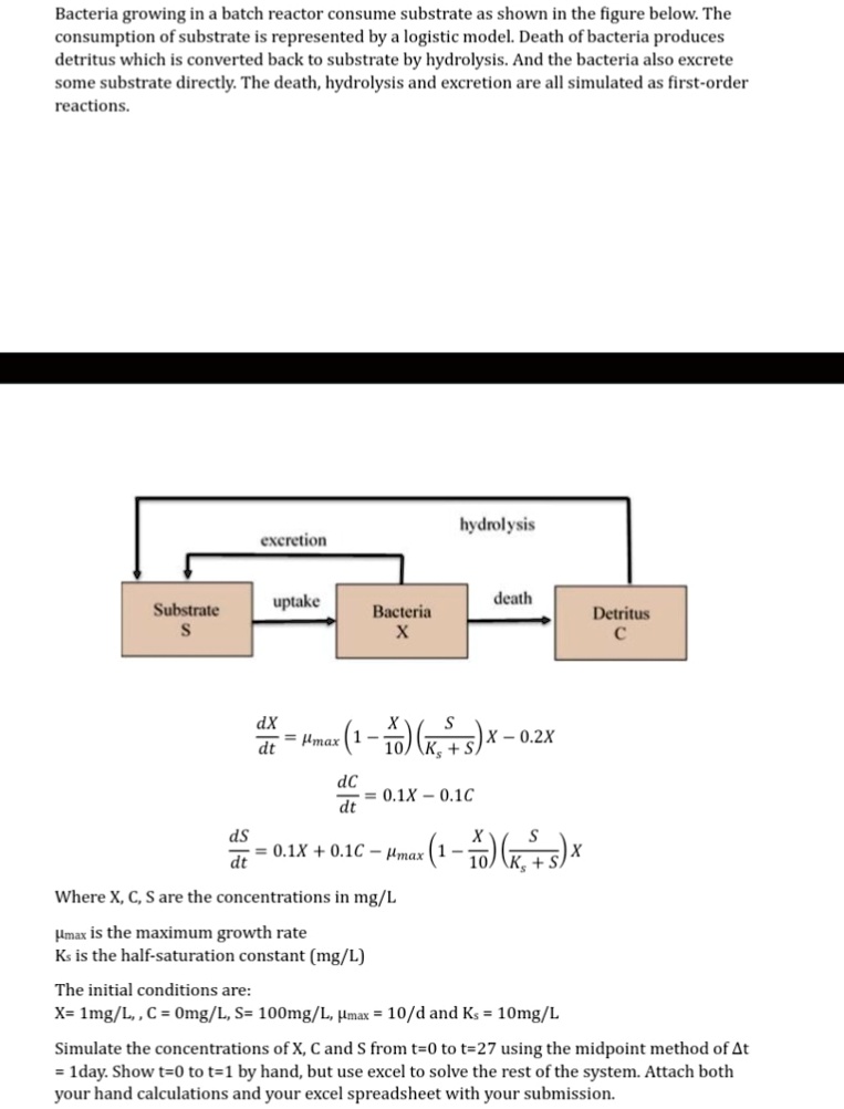 bacteria growing in a batch reactor consume substrate as shown in the figure below the ...