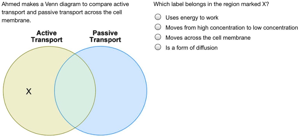 Active And Passive Transport Venn Diagram PPT Chapter 12 PowerPoint