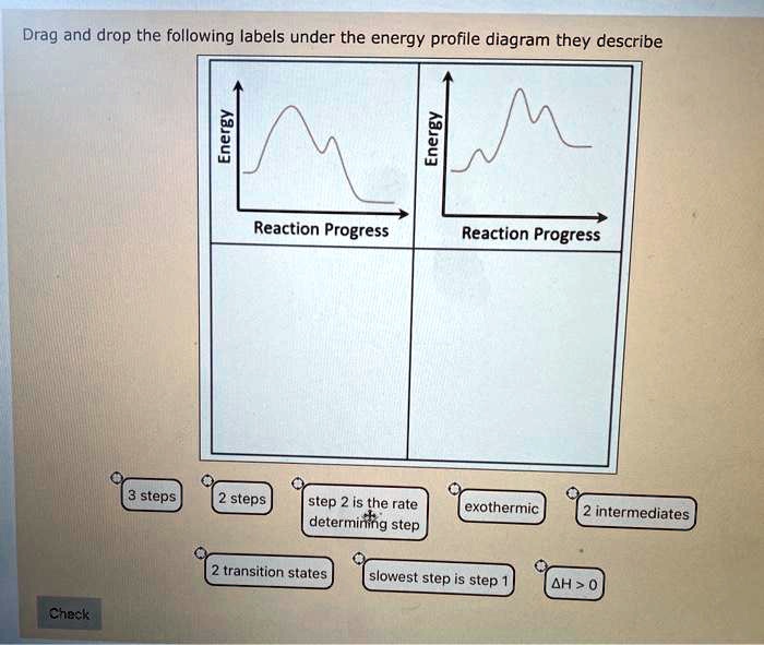 SOLVED: Drag and drop the following labels under the energy profile ...