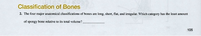 SOLVED: Classification of Bones 2. The four major anatomical classifications of bones are long ...