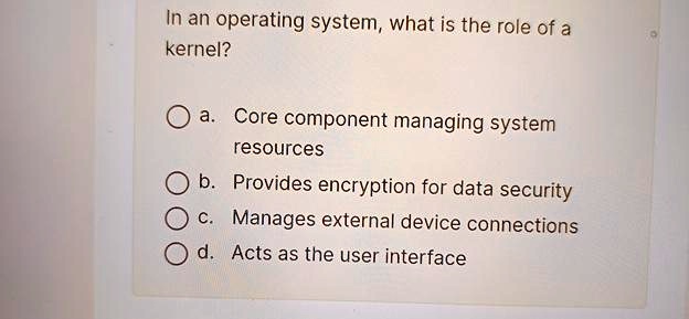 SOLVED: In an operating system, what is the role of a kernel? a. Core component managing system ...