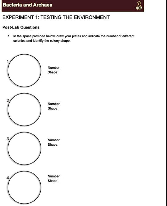 SOLVED: Bacteria and Archaea EXPERIMENT 1: TESTING THE ENVIRONMENT Post ...