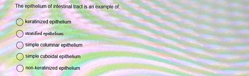 the epithelium of intestinal tract is an example of keratinized ...