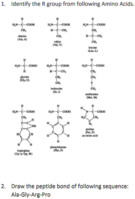 SOLVED:Identify the R group from following Amino Acids Draw the peptide ...