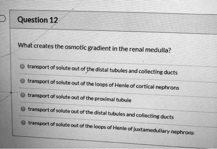 Solved Question 12 What Creates The Osmotic Gradient In The Renal Medulla Transport Of Solute