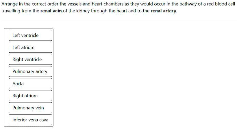 SOLVED: Arrange in the correct order the vessels and heart chambers as ...