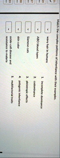 match the complex patterns of inheritance with their examples wavy hair in humans abo blood ...