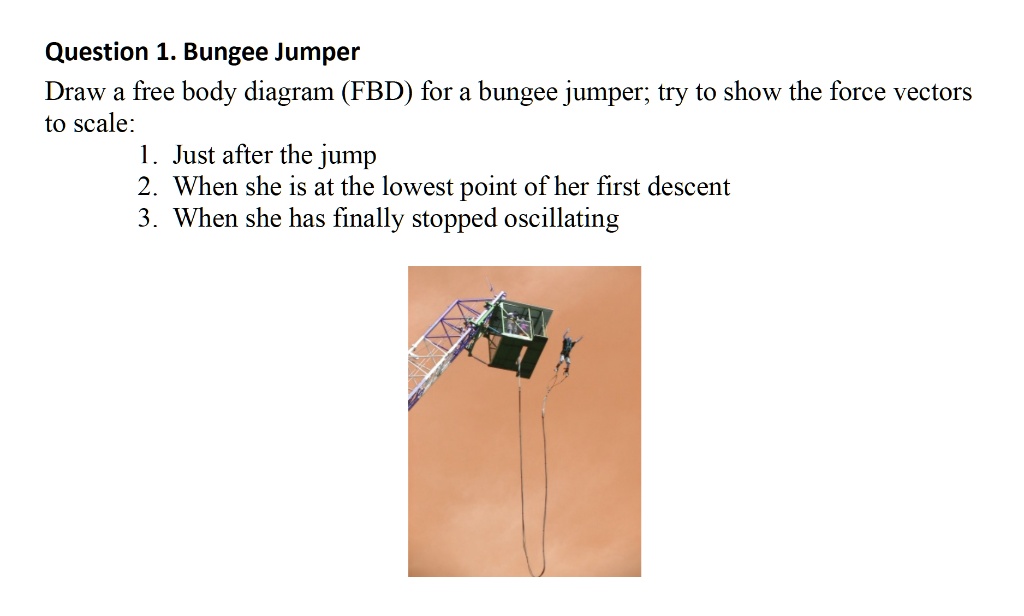 SOLVED: Question 1. Bungee Jumper Draw a free body diagram (FBD) for a ...