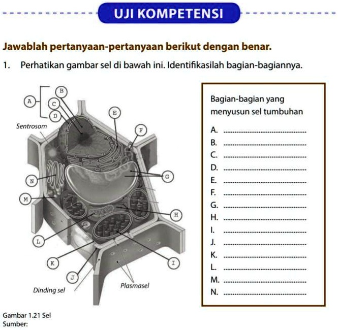 SOLVED: tolong bantu kak saya ga ngerti kak UJI KOMPETENSI Jawablah ... SOLVED: tolong bantu kak saya ga ngerti kak UJI KOMPETENSI Jawablah ...